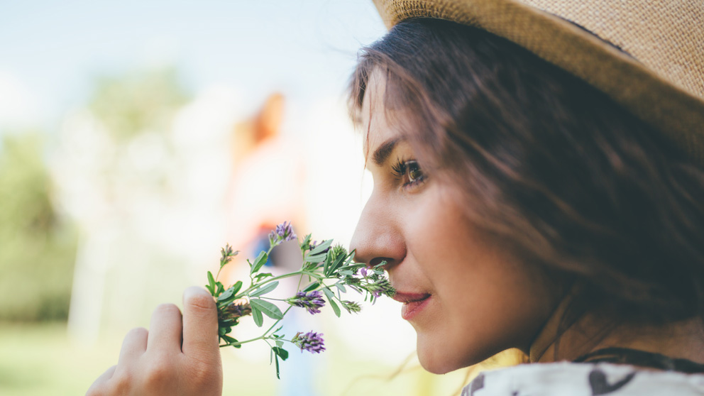 The difference between natural and synthetic fragrances, a Weleda-E...